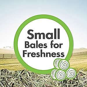 Vitakraft Orchard Grass, Premium Soft Stemmed Hay, 100% American Grown, 28 Ounce Resealable Bag