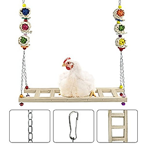 Chicken Toys, 6Pcs Oziyrnka Chicken Toys for Coop with Durable Long Chain, Chicken Swing Roomy Solid Wood, Chicken Coop Toys Fruits Feeder, Toys for Chickens, Chicken Xylophone