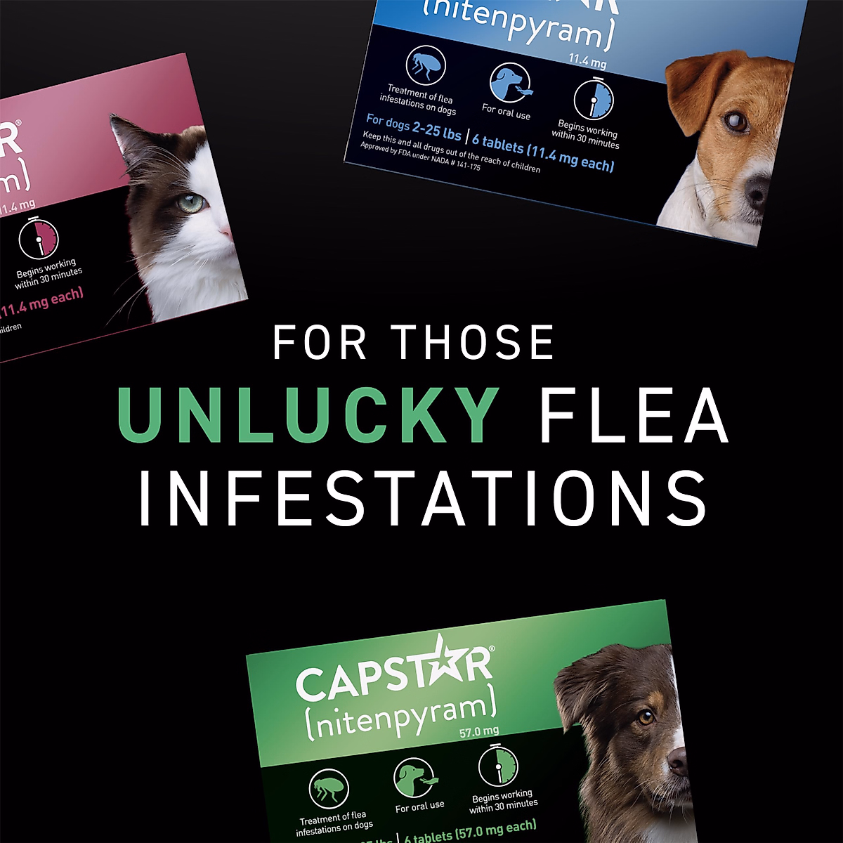 Capstar (nitenpyram) for Cats, Fast-Acting Oral Flea Treatment for Dogs 2-25 lbs, Vet-Recommended Flea Medication Tablets Start Killing Fleas in 30 Minutes, 12 Doses