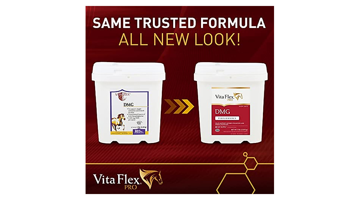 Vita Flex Pro DMG 1500 Horse Supplement for Performance & Recovery