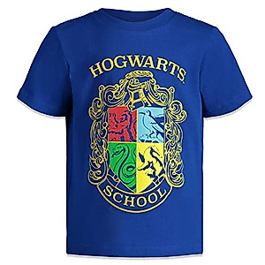 Harry Potter Big Boys 3 Pack Pullover T-Shirts Blue/Grey/Red 10-12