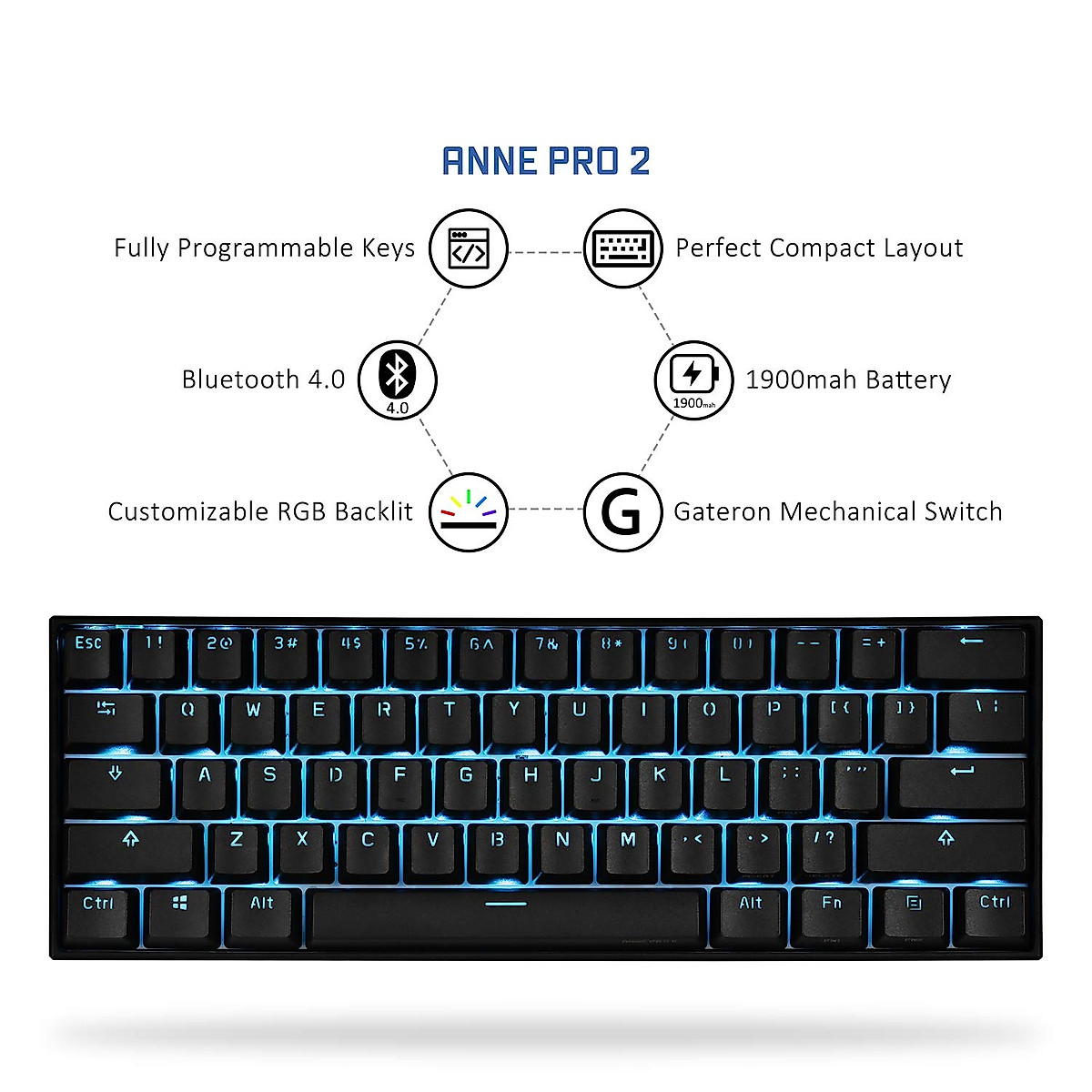 CORN Anne Pro 2 Mechanical Gaming Keyboard 60% True RGB Backlit - Wired/Wireless Bluetooth 5.0 PBT Type-c Up to 8 Hours Extended Battery Life, Full Keys Programmable (Gateron Blue, Black)