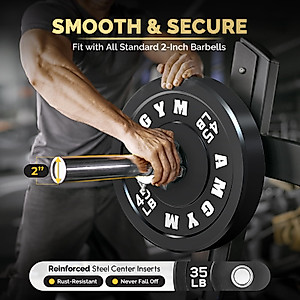 AMGYM LB Bumper Plates Olympic Weight Plates, Bumper Weight Plates, Steel Insert, Strength Training(260LB Set)