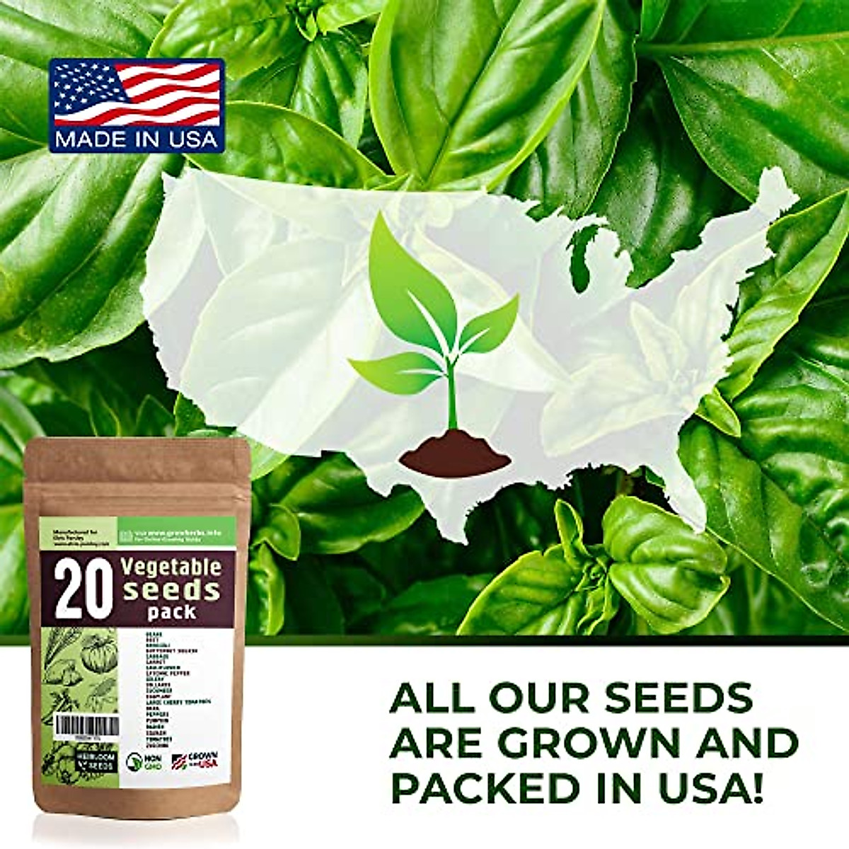 20 Vegetable Seeds Variety - USA Grown for Indoor or Outdoor Garden - Heirloom and Non GMO - Tomatoes, Zucchini, Peppers, Eggplant, Carrot, Cauliflower, Pumpkin, Celery, Radish and More