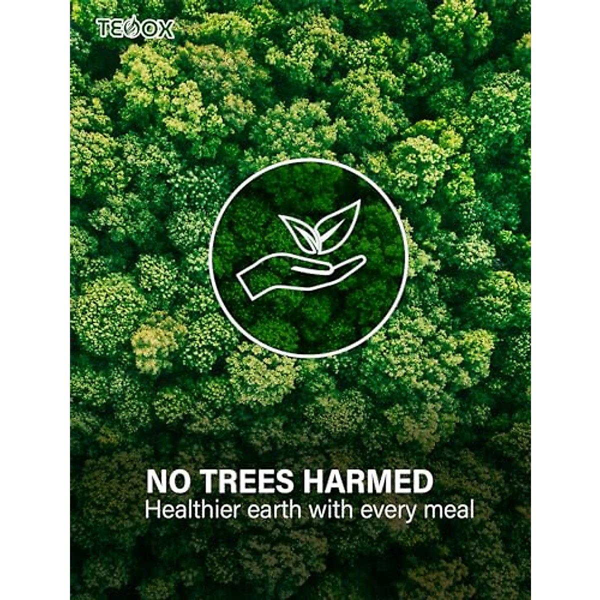 Teoox 100% Compostable Oval Plates Biodegradable Plates, BPI-Certified Eco Paper Plates, Bagasse Platter Plates, Recyclable Paper Plates, Sugarcane Plates (12.5 Inch - 40 Count)