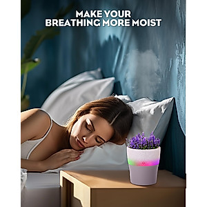 Small Humidifier For Plants, Mini Humidifiers For Bedroom Home, Lavender plant Cool Mist Humidifiers, 150m personal humidifier, Super Quiet And Waterless Auto Shut Off