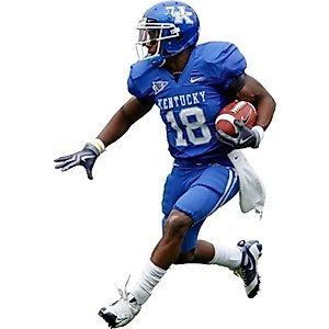 Randall Cobb - 18X24 Poster FCA #FCA314119