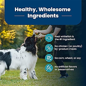 Blue Buffalo Life Protection Formula Adult Dry Dog Food, Helps Build and Maintain Strong Muscles, Made with Natural Ingredients, Fish & Brown Rice Recipe, 30-lb. Bag