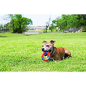 Chuckit! UltraRing Fetch and Chase Outdoor Dog Toy All Breeds