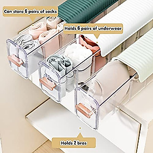 Qoyntuer Wall Mounted Underwear Drawer Organizer, Switchable 6 Cell Drawer Acrylic Sock and Underwear Organizer Anti Dust Underwear Storage Boxes for Underwear, Bra,Socks,Ties,Belts