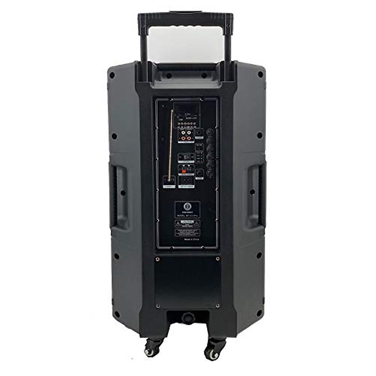 SINGTRONIC BT-1212Pro Professional 5000W Portable 12" Double Woofer Bluetooth Speaker via Unlimitted YouTube Karaoke Free: 2 x Wireless Microphone & Rechargeable Batteries