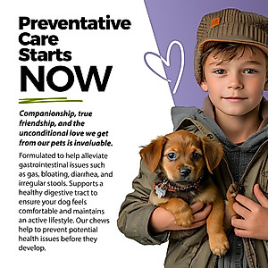 ANP Advanced Prebiotic & Probiotic Natural Chews for Dogs - No Animal Proteins, Gut Flora Health, Clinically Studied ProSEB Multi® for Digestive Health, Including Diarrhea Relief and Bowel Stability