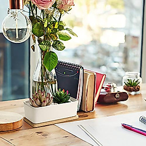 OAMCEG 2 Pack Succulent Plant Pots 6 Inch Rectangular Ceramic Planters, Set of 2 White Cactus Container, Bonsai Pots, Flower Pots with Drainage Hole & Bamboo Tray (Plants NOT Included)