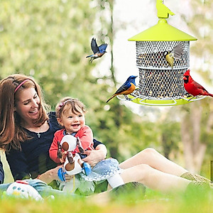 Metal Bird Feeder Clearance,Hanging Bird Feeders for Outside Wild Birds, Squirrel Poorf, Heavy Duty,6 Perches, 4 lbs Capacity for Cardinals, Finches, Blue Jays-Silver Green