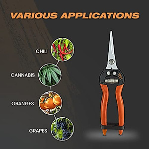 Zegos 7" All-Metal Trimming Scissors with 3" Long Blades for Leaves and Bud Cutting, Pruning Snips Garden Scissors for Vine Cutting, Plants and Herb Trimming (1 Pack)