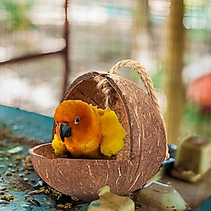 3 Pcs Natural Coconut Bird Hide Nest Birds Parakeet Nest with 6.9 Feet Fake Vines and 4 Hooks, Coconut Fiber Hanging Birdhouse Shell House for Finch Canary Sparrows Reptile Hamster Budgies Cockatiel