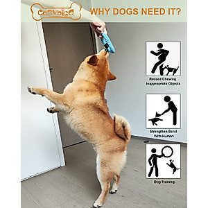 CaBYbigG Dog Rope Toy,No Stuffing Dog Toy,Puppy Chews for Teething,Dog Chew Toys,Blue Ring Dog Toy for Medium Small Dogs Breed