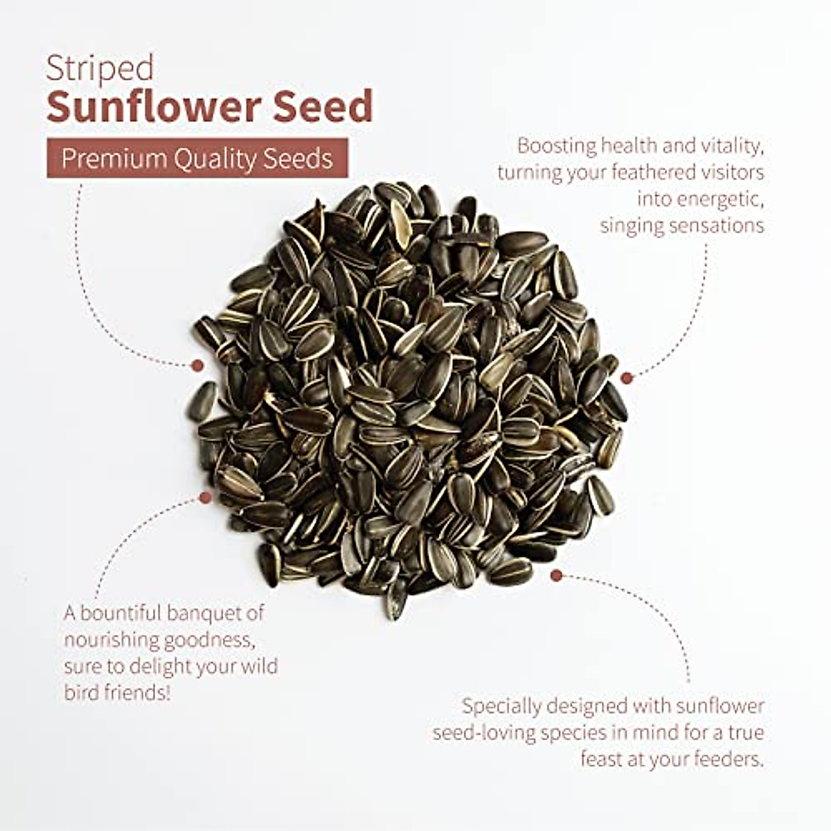 Schoen Farms Striped Sunflower Seeds for Birds, (3 Pound)