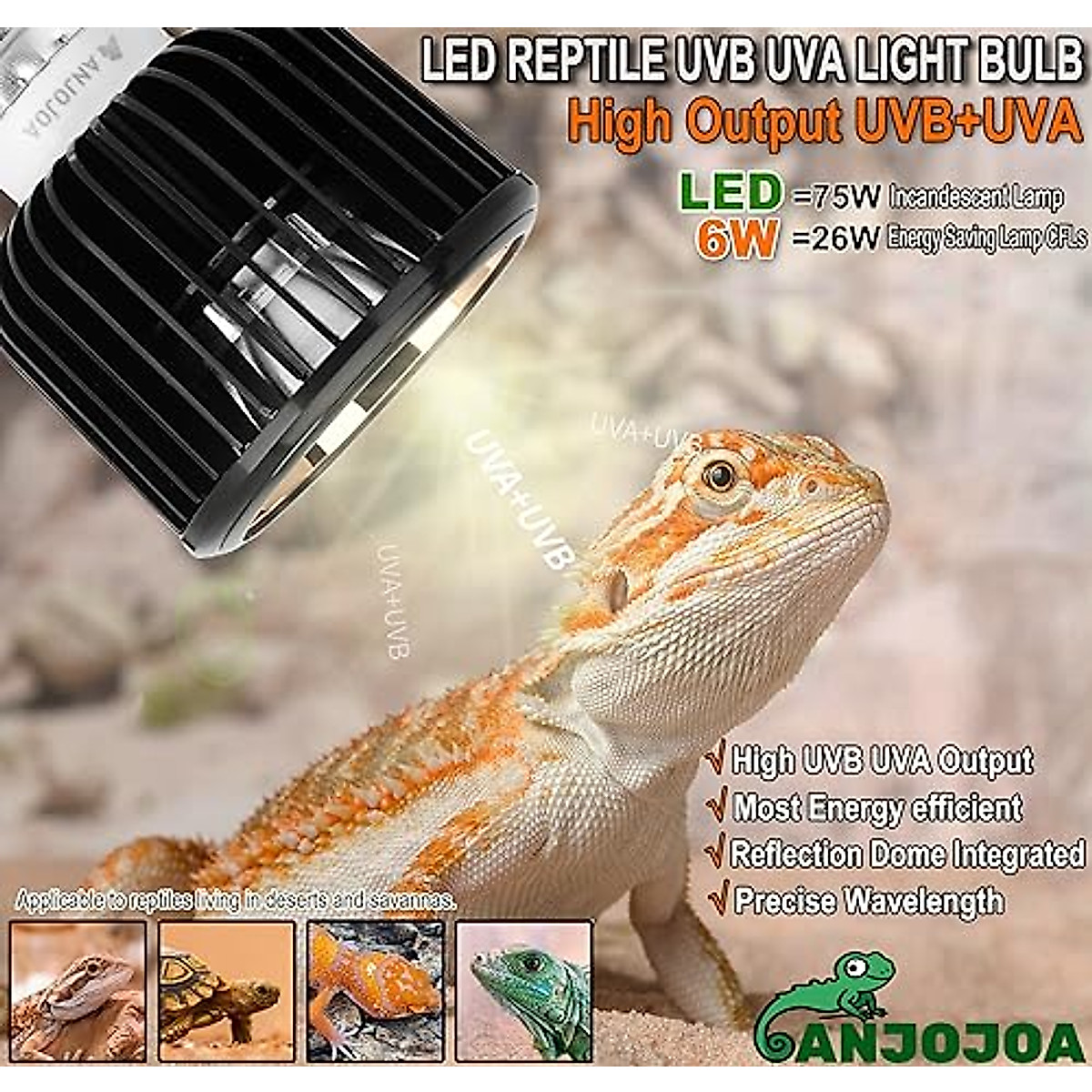 ANJOJOA UVB Reptile Light Bulb LED 6-Watt High UVB UVA Output 10.0 Bulb Reflection Dome Structure PSE Certification for Bearded Dragons Lizards Leopard Geckos Tortoises