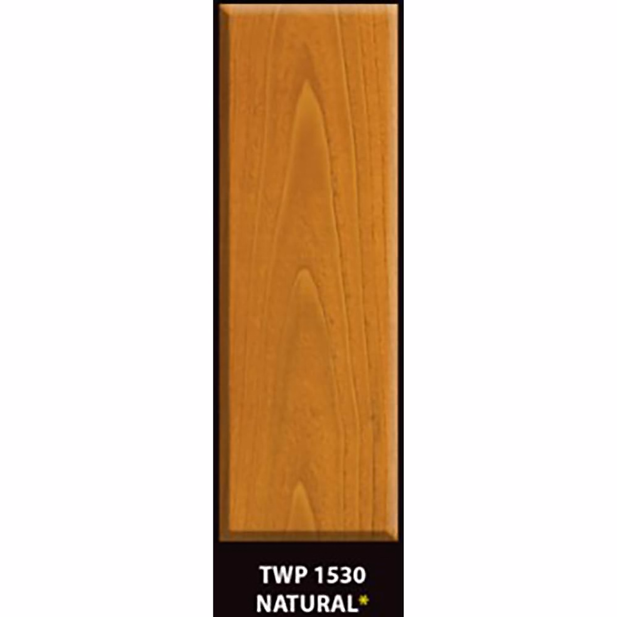 AMTECO DIVISION OF GEMINI INDUSTRIE TWP-1530-1 Gallon Natural VOC Stain