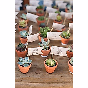BESTTOYHOME 48 Pcs Small Mini Clay Pots 2'' Terracotta Pot Clay Ceramic Pottery Planter Cactus Flower Pots Succulent Nursery Pots- Great Plants,Crafts,Wedding Favor