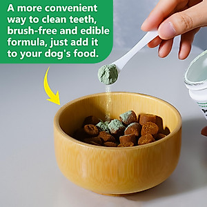 ALIVO Teeth Cleaning Powder for Dogs & Cats, Dental Powder for Pets Teeth Cleaning - Breath Freshener with Probiotics for Bad Breath, Plaque, Tartar - Dental Care Supplies for Small Dogs - 50g