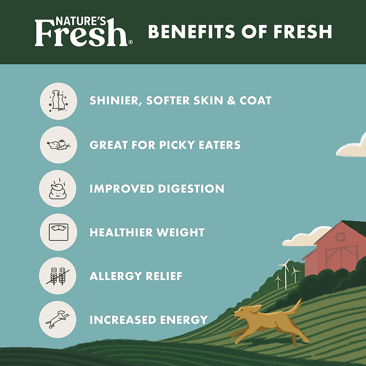 FRESHPET Beef Garden Vegetables Grains 5Lb Dog Food, 80 OZ