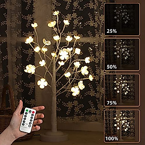 Anycosy 21'' Tabletop Bonsai Tree Lights,120 LED Plum Blossom Tree Table Lamp with 8 Modes & 6 Hrs Timer,Battery/USB Operated Artificial Tree with Lights for Indoor Decoration
