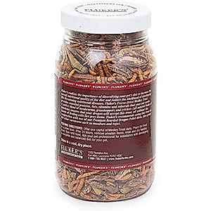 Fluker's Bearded Dragon Medley Treat Food 3.2oz - Includes Attached DBDPet Pro-Tip Guide