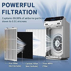 115115 HEPA Replacement Filter A for Winix PlasmaWave Air Purifier C535, 5300, 6300, 5300-2, 6300-2, P300, 2 Pack True HEPA Size 21 Filter