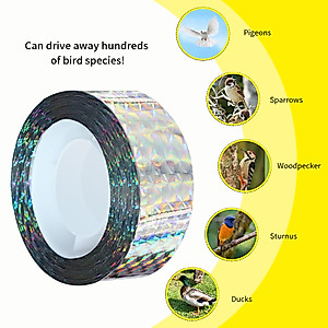 KOKMEYA Bird Scare Tapes 262FT*1 Reflective Flash Tape for Birds, Bird Scare Device Double Side Ribbon Scare Birds Away for House, Garden, Yard, Orchard, Patio, Outdoor