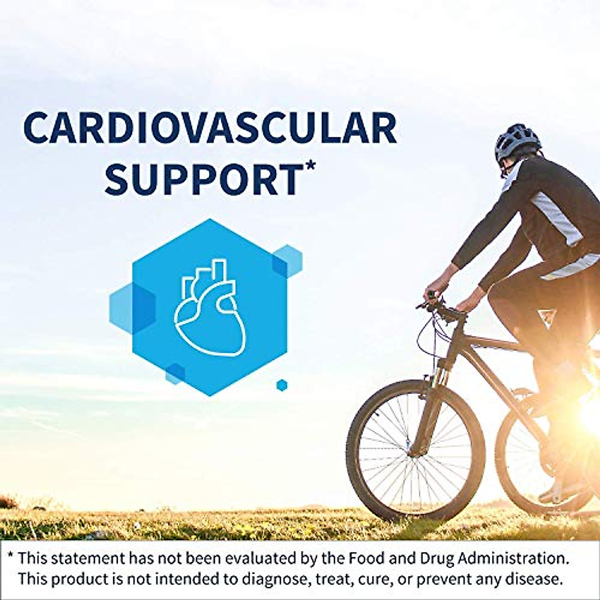 Klaire Labs L-Carnitine Tartrate - 500 mg Amino Acid, Stabilized L-Carnitine - No Synthetic D-Carnitine (60 Capsules)