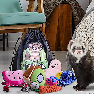 Ferret Toys 9 Pack & Ferret cage Accessories and Travel Pouch - Ferret Accessories, Ferret Tunnel, Ferret Ball - Ferret Bed, Ferret Stuff - Ferret Gifts for Ferret Lovers - Ferret chew Toys & Squeaky