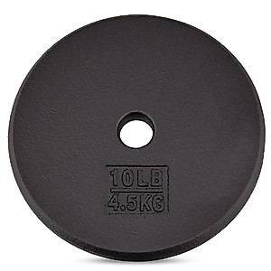 Yes4All 1-inch Cast Iron Weight Plates for Dumbbells – Standard Weight Disc Plates (10 lbs, Single)