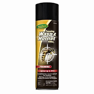 Green Thumb 17.5 Ounce Foaming Wasp & Hornet Killer Spray - Pack of (12)