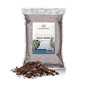 Bird of Paradise Planting Soil, Hand Blended All Natural Potting Mix for Planting, Growing, or Repotting Bird of Paradise Plant, Potting Soil for Bird of Paradise, Small Batch Hand Blended 8QT Bag