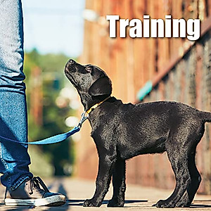 Whole Life Pet Mini Ones - Beef Liver Treats for Small Dogs or Training Treats for Any Size Dog, Human Grade, One Ingredient, Made in The USA