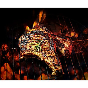 Moss & Stone Premium Portable 14Inch BBQ | Ultimate Outdoor Charcoal Barbecue Grill with Removable Legs & Ash Catcher | Portable BBQ Table Stand & 2 Chrome Plated Grilling Grates | Mesh Edges