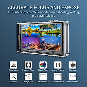 SEETEC 4K280-9HSD-CO 28 Inch 4K Ultra-HD Resolution Carry-on Broadcast Director Monitor