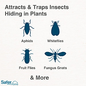 Safer Brand Home SH5026 Houseplant Sticky Stake Insect Traps for Indoor Plants - 16 Traps Included - Controls Aphids, Whiteflies, Fruit Flies, Fungus Gnats, and Other Insects