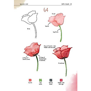 Watercolor Success in Four Steps: 150 Skill-Building Projects to Paint (Design Originals) Beginner-Friendly Step-by-Step Instructions & Techniques to Create Beautiful Paintings as Easy as 1-2-3-4