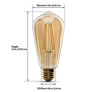 Feit Electric ST1960/FIL/AG 60 Watt Equivalent WiFi Dimmable, No Hub Required, Alexa or Google Assistant ST19 Edison Vintage LED Smart Light Bulb, 5.4" H x 2.5" D, 2100K Amber
