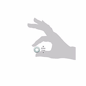 The Hillman Group Zinc 270058 Flat Washer, 5/16-Inch, 100-Pack, 5/16"