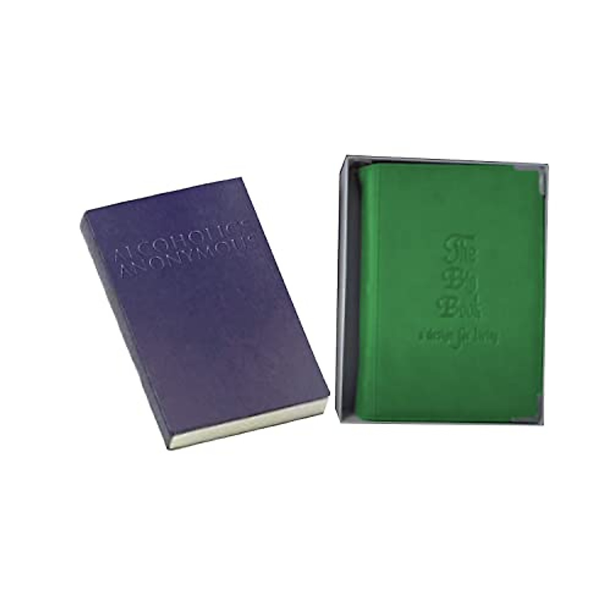 Softcover AA Big Book with Green/Pink/Gray AA BookCover Case Includes AA Big Book Softcover with Zip Up Case (Green)