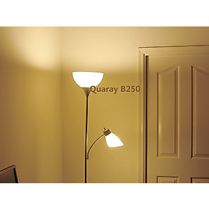 Quaray 10 Inch Plastic Bowl Lamp Shade for Torchiere Floor Lamp, White, B250