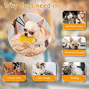 JMZDS&JL Dog Squeak Toys, Puppy Teething Toy, Dog Chewing Toys for Puppies, Medium Size Dogs, Plush Stuffed Crinkle Pet Chew Toys, Texture Exploration, Stuffed Animals for Dogs.（6pack）