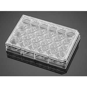 Corning 353226, Clear Cell Culture Plate 24 Well Flat-Bottom w/lid, 36 per Case