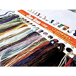 Joy Sunday Cross Stitch Kits Stamped Full Range of Embroidery Starter Kits for Beginners DIY 14CT 2 Strandst- The Beautiful Scenery of Park（Printed 22×17 inches