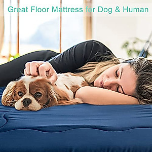 WAVV 4 inch Queen Futon Mattress,Updated Japanese Floor Mattress Thicken Tatami, Foldable Sleeping Roll up Mattress with CertiPUR-US Certified Breathable Cover for Guest, Kids Floor Pad,Camping