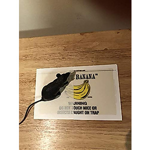 Catchmaster 72TB Mouse Glue Boards, 72 ct